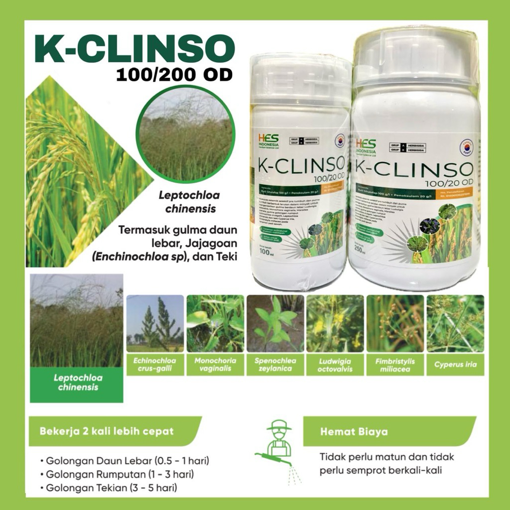Jual Herbisida Seletif Padi k - Clinso | Mengatasi semua jenis Gulma ...
