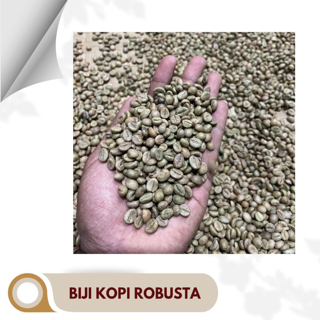Jual Green Bean Kopi Robusta 1Kg | Biji Kopi Mentah Asli | Cocok untuk ...