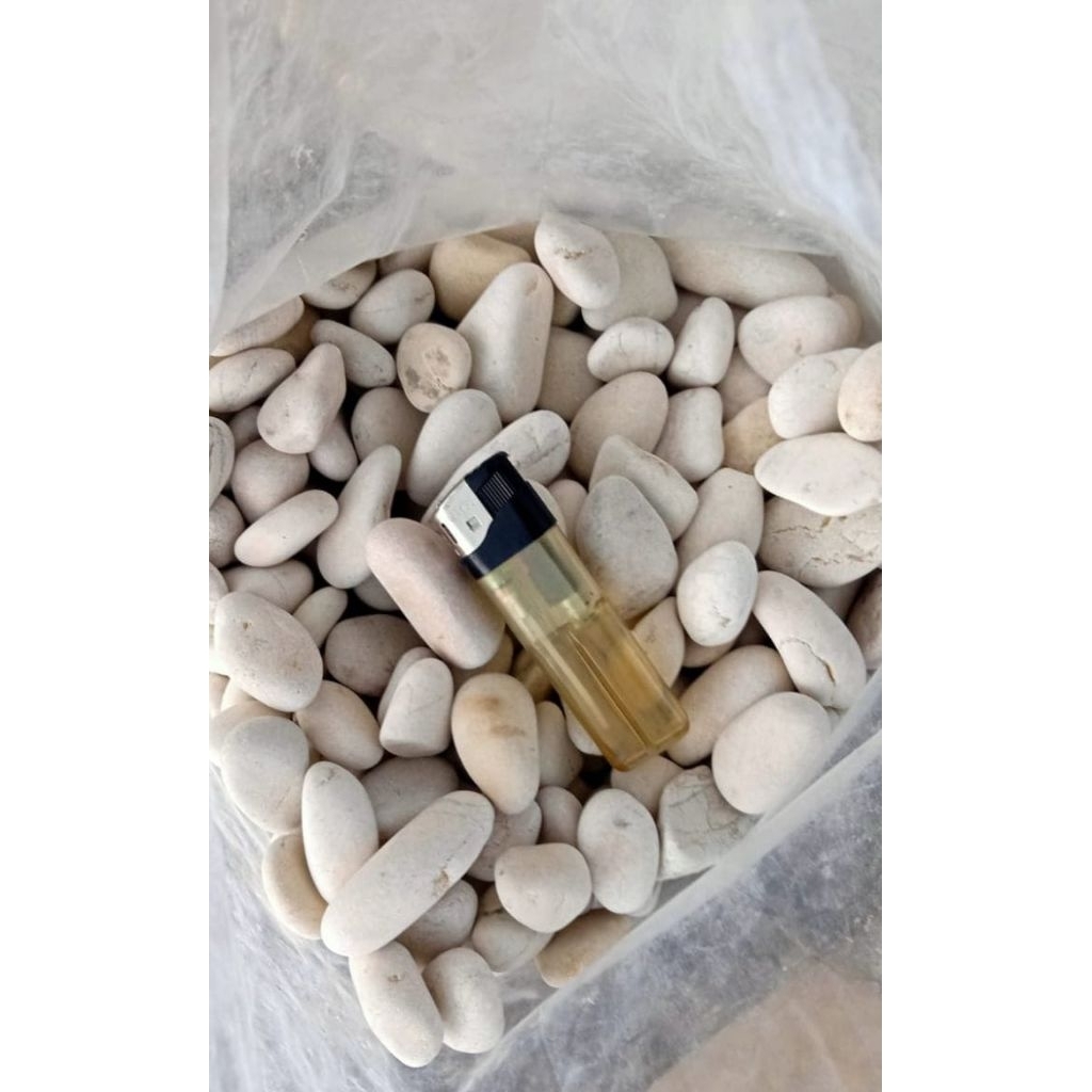 Jual Batu taman putih 1 kg/batu hias putih/batu koral putih/Taman ...