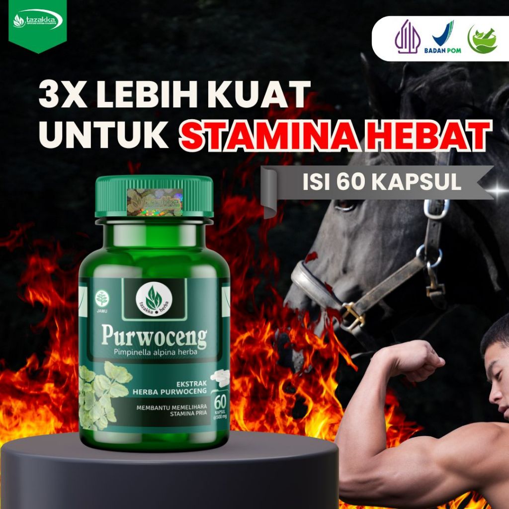 Jual Herbal Stamina Pria untuk Tahan Lama dan Bertenaga Purwoceng dari ...