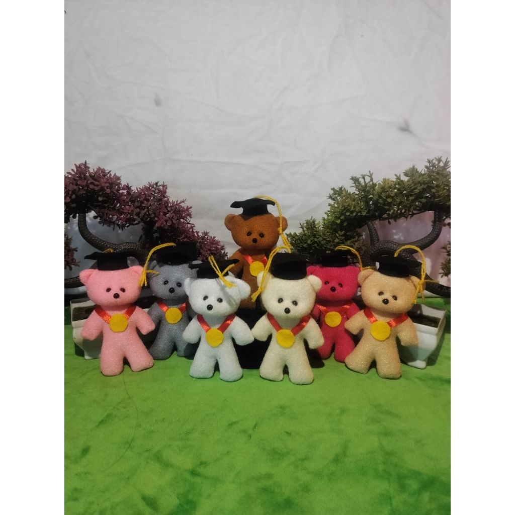 Jual BONEKA BEAR TOGA WISUDA MINI UKURAN 10CM | Shopee Indonesia