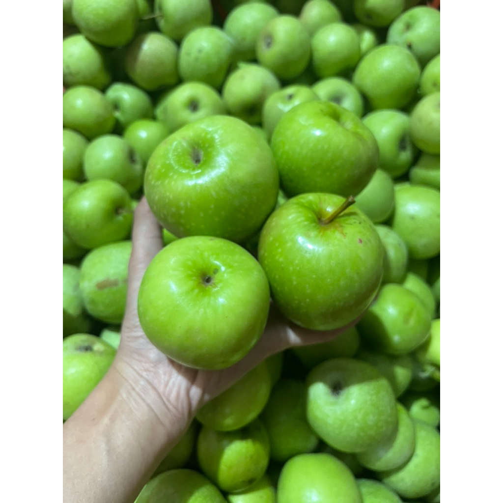 Jual Apel Granny Smith Lokal Grade AB 1kg Isi 8-11 Buah, Rasa Asam ...