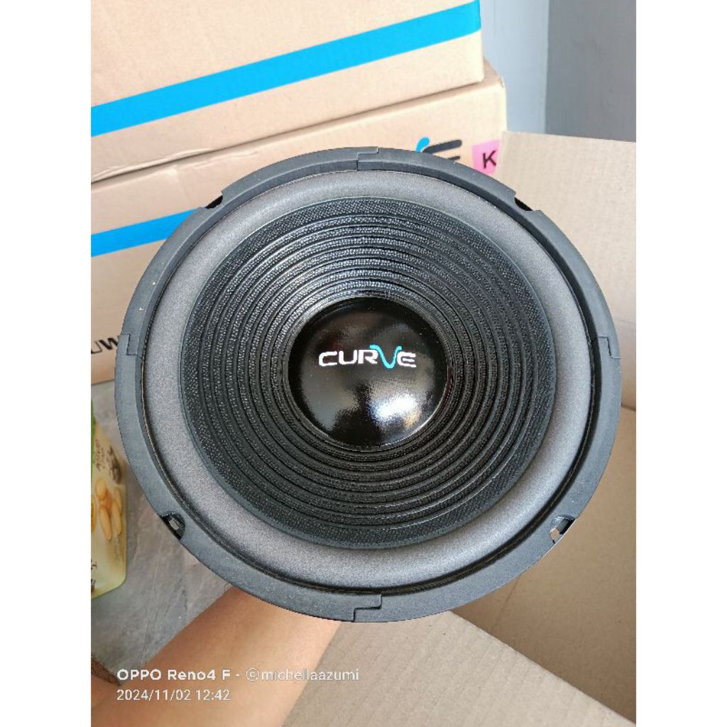Jual speaker curve 10 inc 10'25H100SUWPP (PLS) SPEAKER WOOFER | Shopee ...