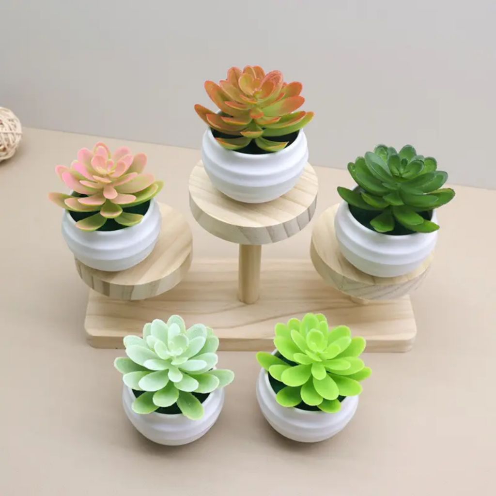 Jual TANAMAN HIAS MINI | POT BUNGA HIAS MINI | TANAMAN HIAS PLASTIK ...