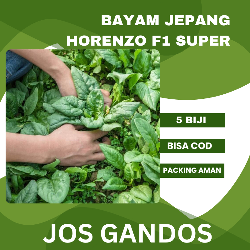Jual enih Bibit Biji - Bayam Jepang Horenso F1 Super Horenzo Panen ...