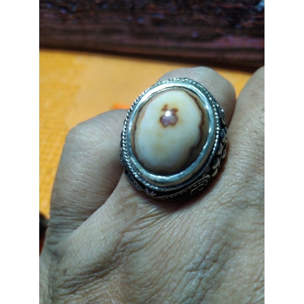 Jual Batu Garut Karang Nunggal Unik dan Natural kode 12/232 | Shopee ...