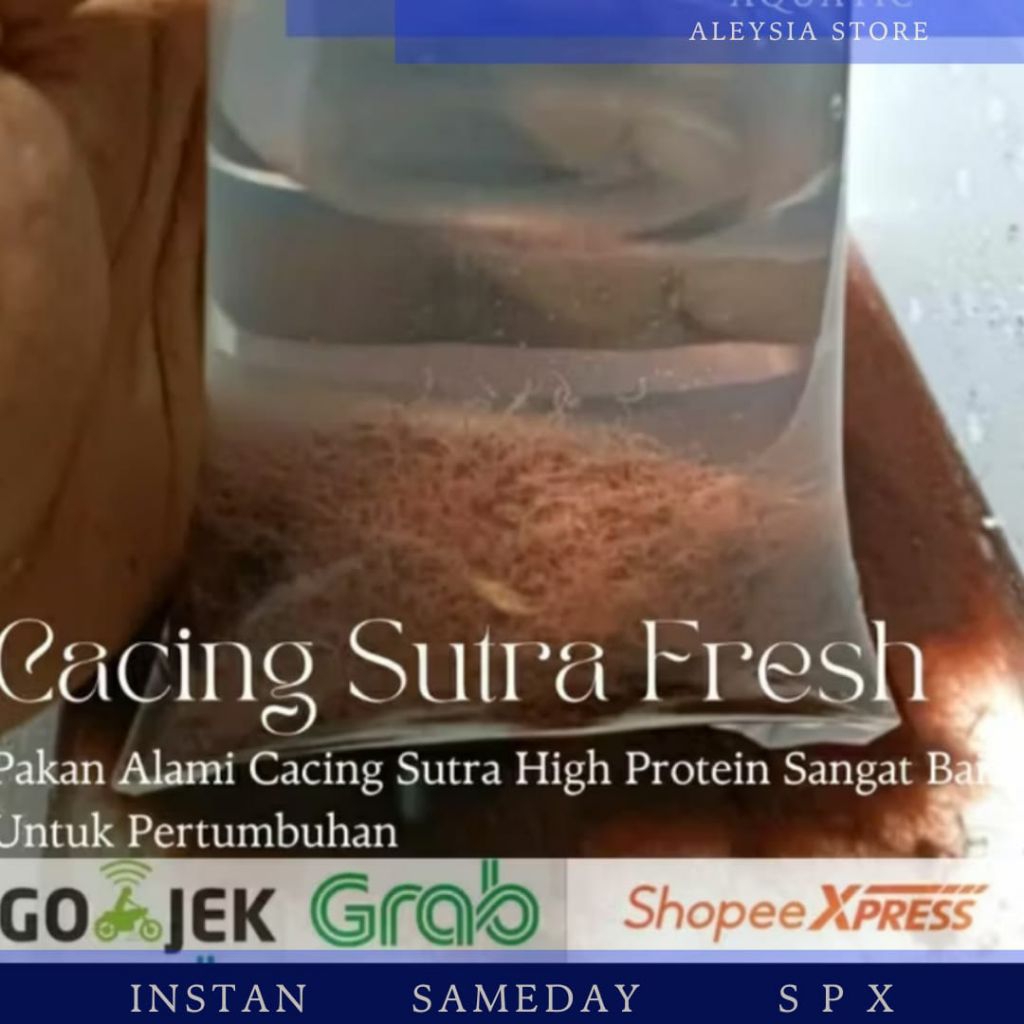 Jual Cacing Sutra Pakan Semua Jenis Ikan High Protein | Shopee Indonesia