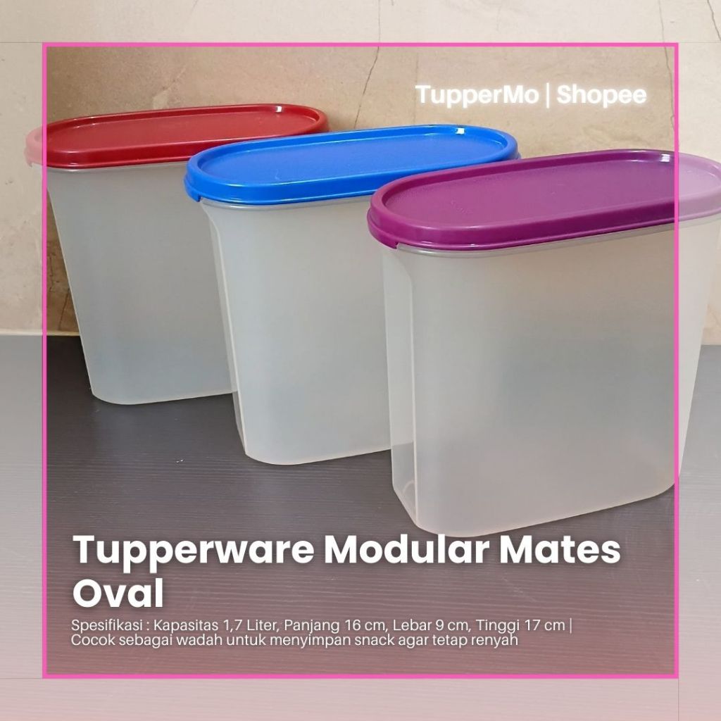 Jual Modular Mates Oval Tupperware Ori | Shopee Indonesia