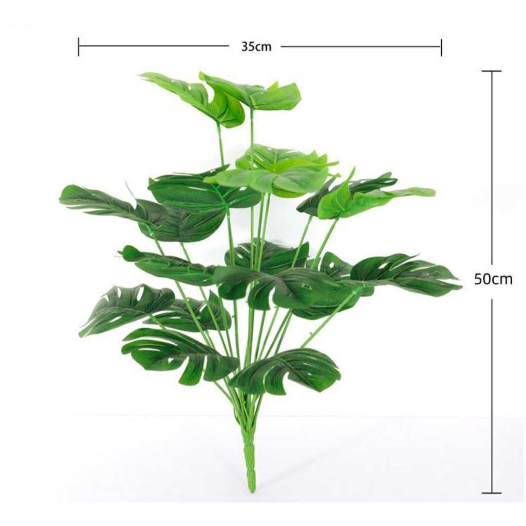 Jual DAUN MONSTERA CABANG X18 BESAR PANJANG 50 CM TANPA POT /TANAMAN ...