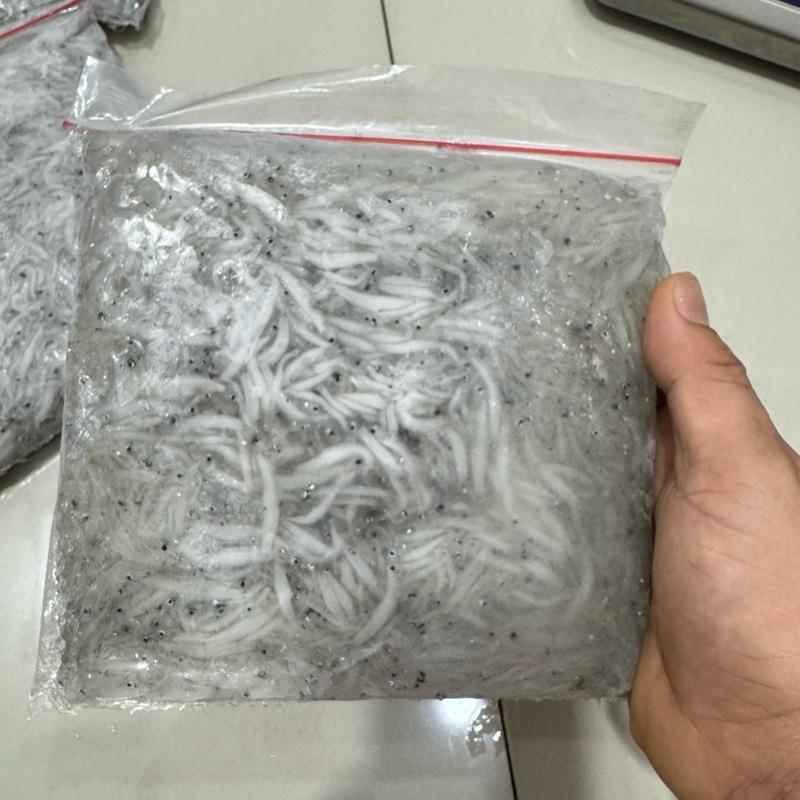 Jual Ikan teri basah / Teri basah Mpasi / Ikan teri basah segar fresh ...