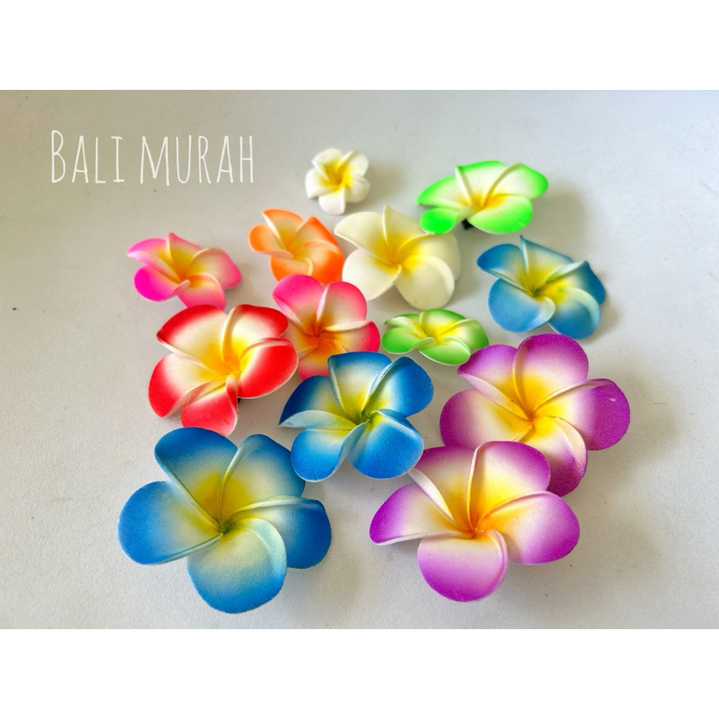 Jual BUNGA JEPUN ISI 10 PCS | HANYA BUNGA | Shopee Indonesia
