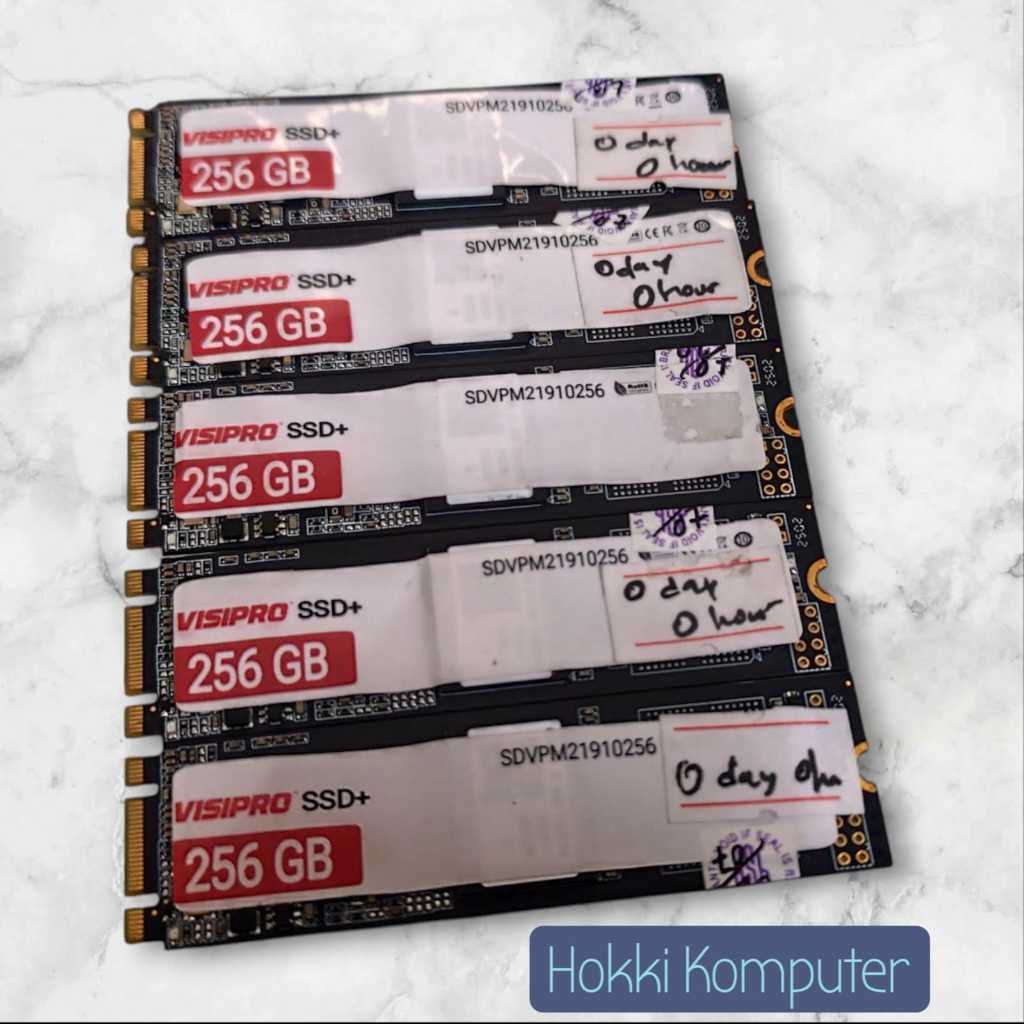 Jual SSD M.2 SATA / M.2 NVME 256GB Second Copotan Original | Shopee ...