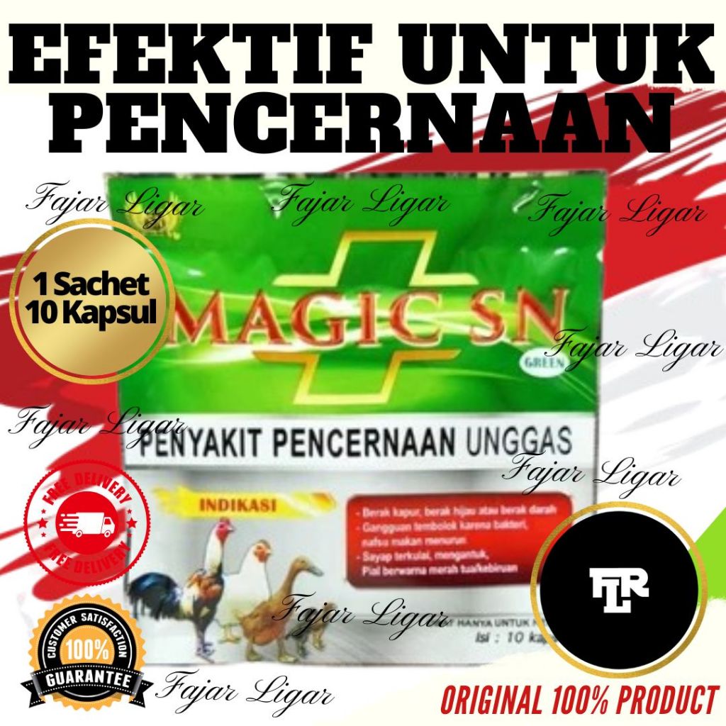 Jual Magic Sn Hijau 1 Sachet isi 10 Butir Sasana Ngapak Obat Ayam ...