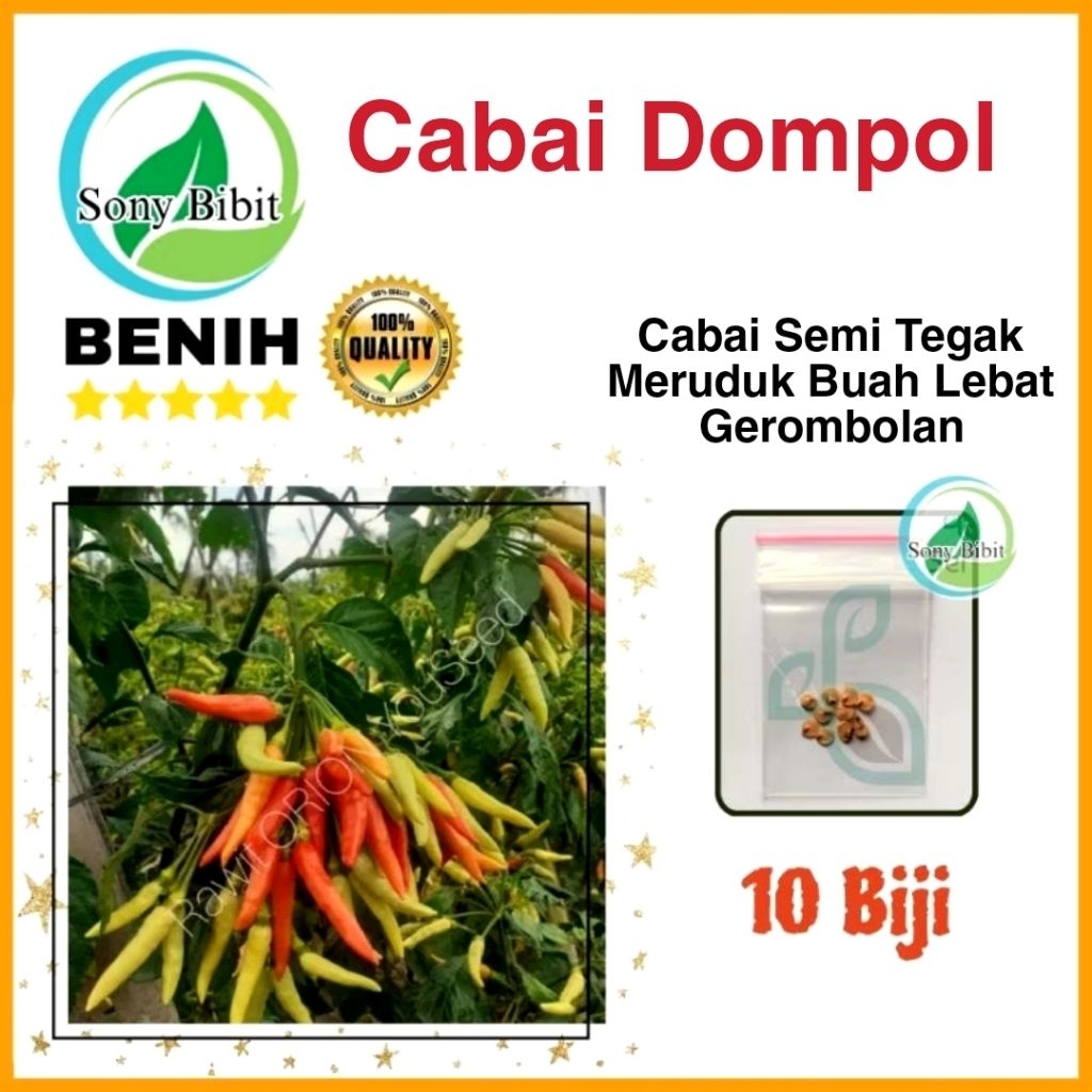 Jual 10 Benih Cabai Rawit Dompol Tipe Buah Dompolan Benih Kemasan ...