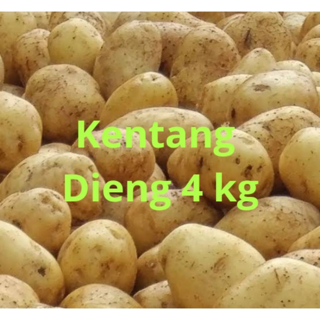Jual Bismillahirrahmanirrahim, Kentang Dieng ukuran sedang 4 kg ...