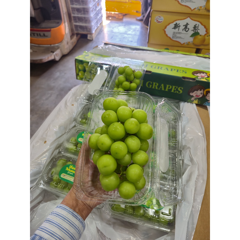 Jual Anggur Muscat (PACK) | Shopee Indonesia