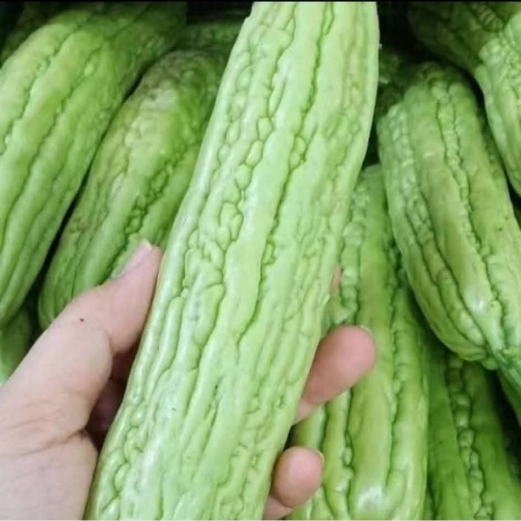 Jual Sayur Pare segar / Sayuran Pare fress | Shopee Indonesia