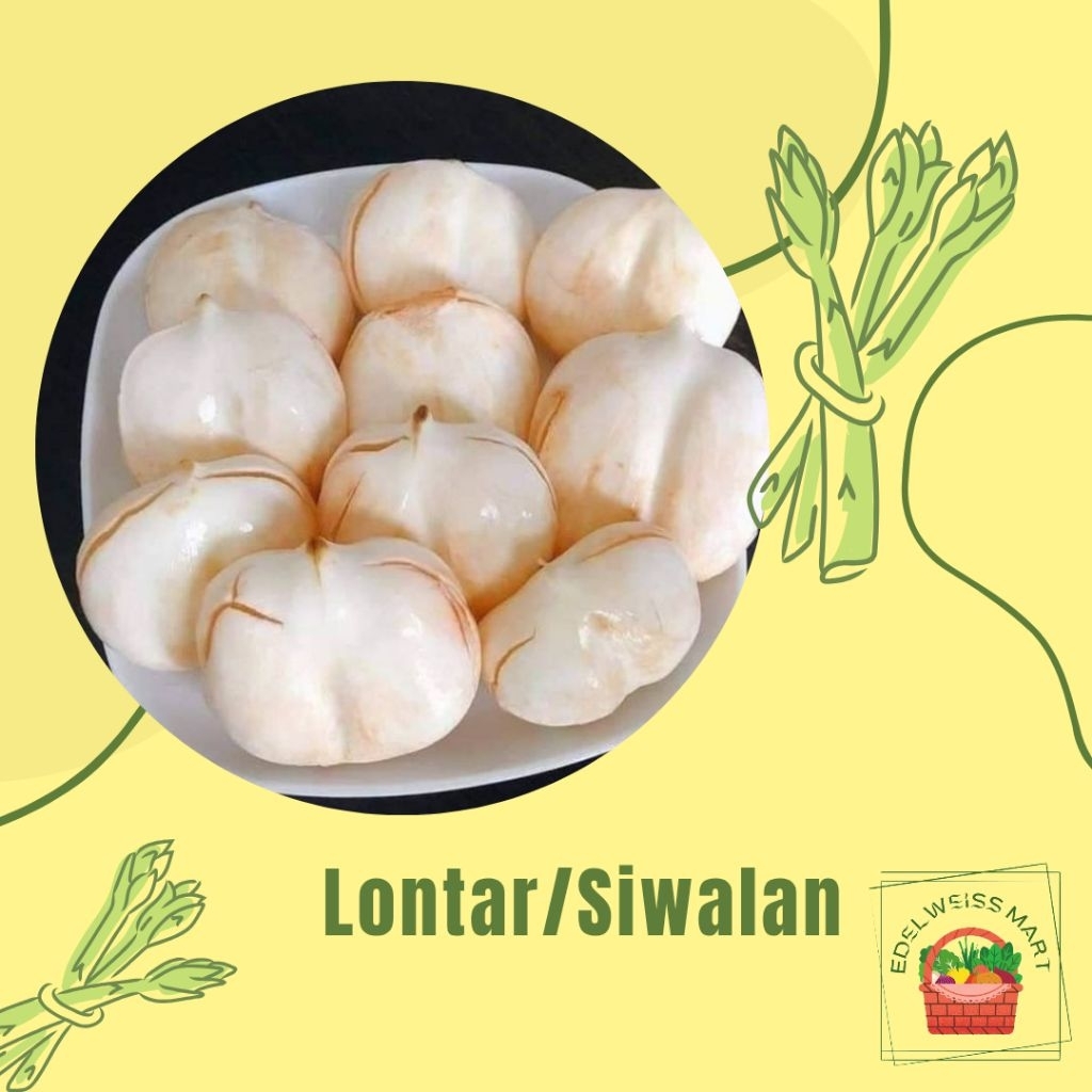 Jual BUAH LONTAR/SIWALAN PACK ISI 10 BIJI - INSTANT SEMARANG | Shopee ...