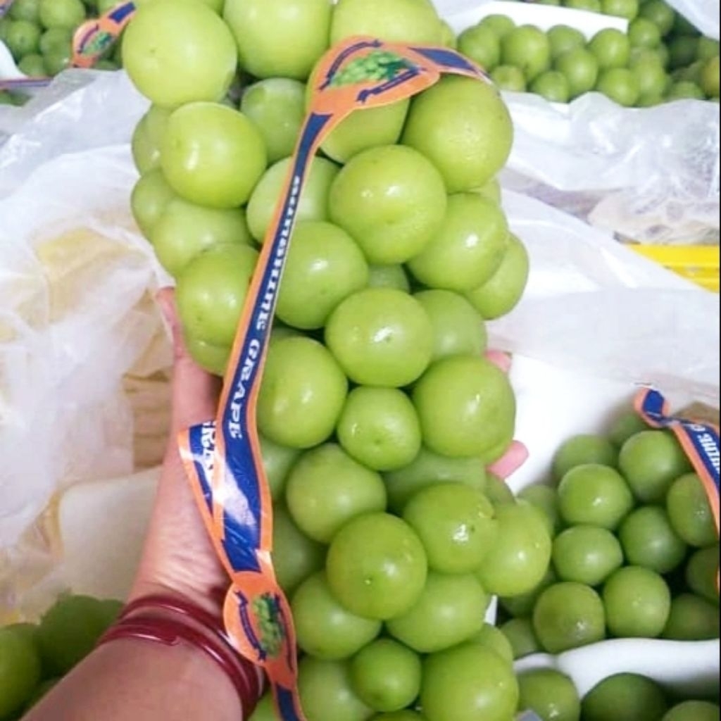 Jual Buah Anggur Shine Muscat Manis Premium | Shopee Indonesia