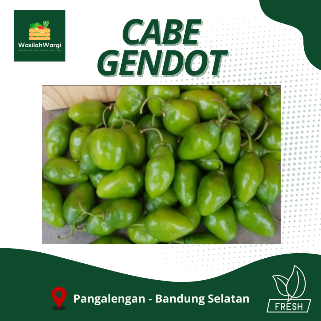 Jual Cabe Gendot VIRAL 250 gram langsung petik dari kebun / Cabe Bendot ...