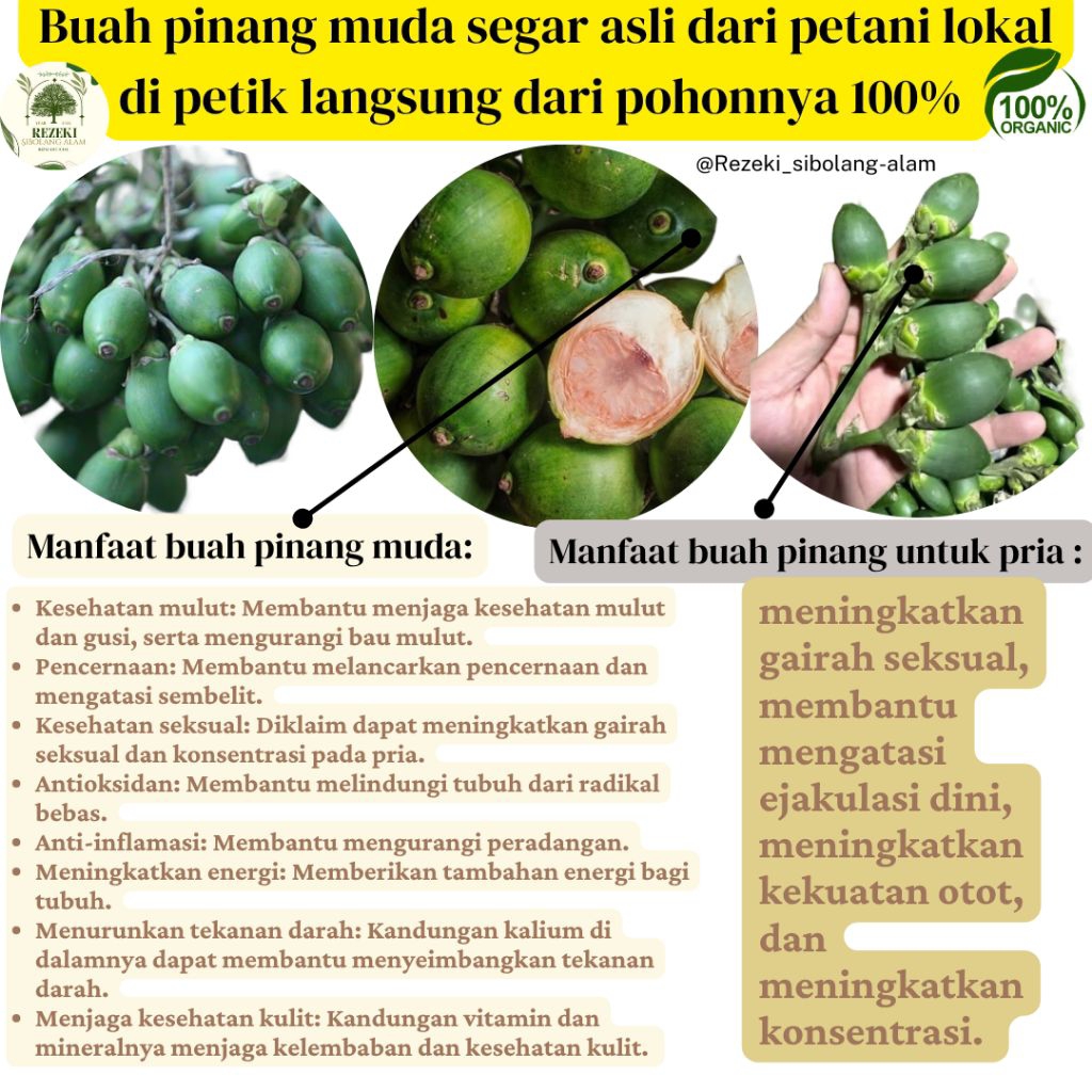 Jual PINANG MUDA / JAMBE MUDA | Shopee Indonesia