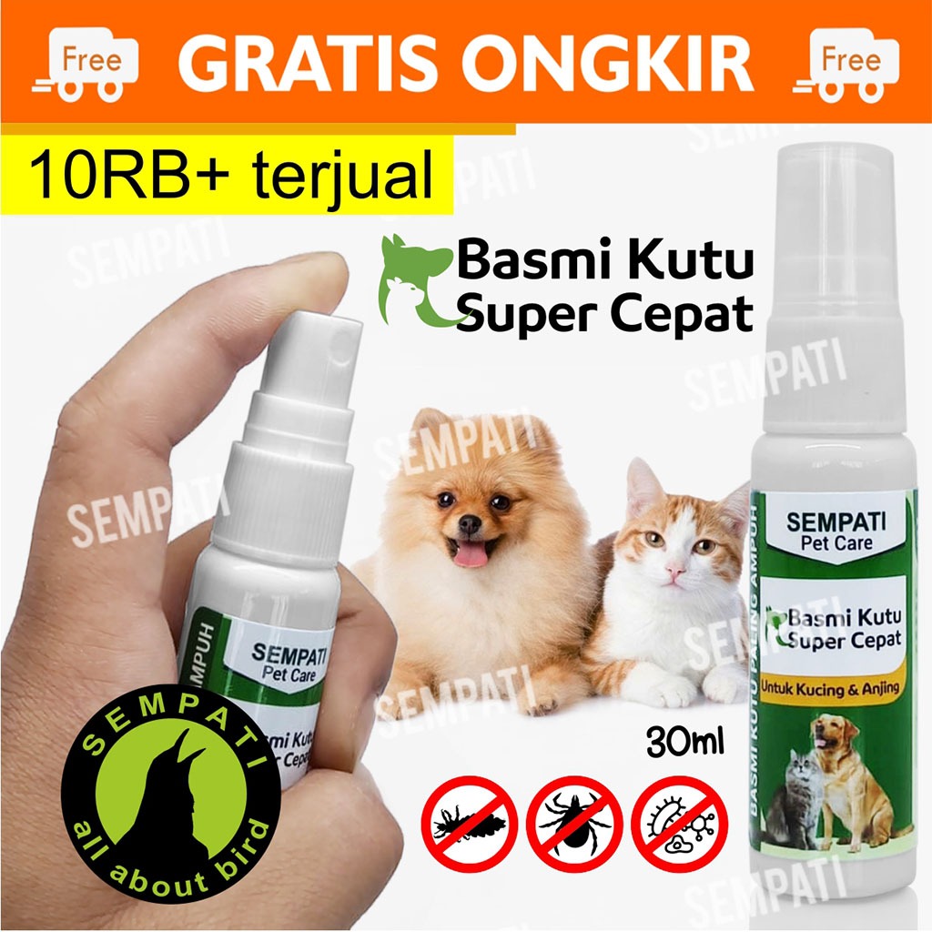 Jual SEMPATI Obat Kutu Scabies Kucing Semprot Basmi Kutu Super Cepat ...