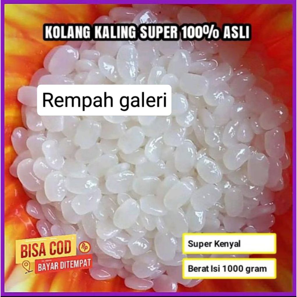 Jual 1 kg kolang Kaling Caruluk cangkaleng mentah fresh langsung dari ...