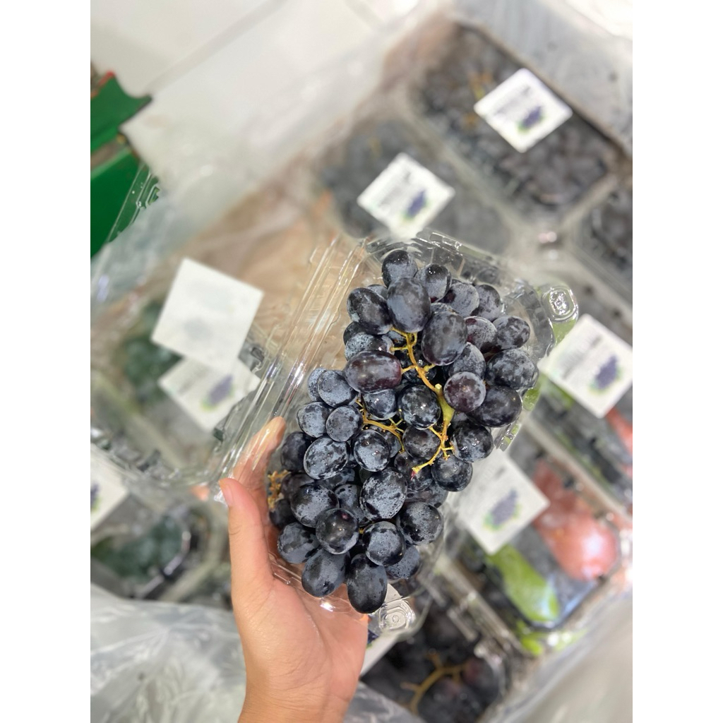 Jual Anggur Hitam Manis Tanpa Biji / Black Seedless Grape / 500g ...