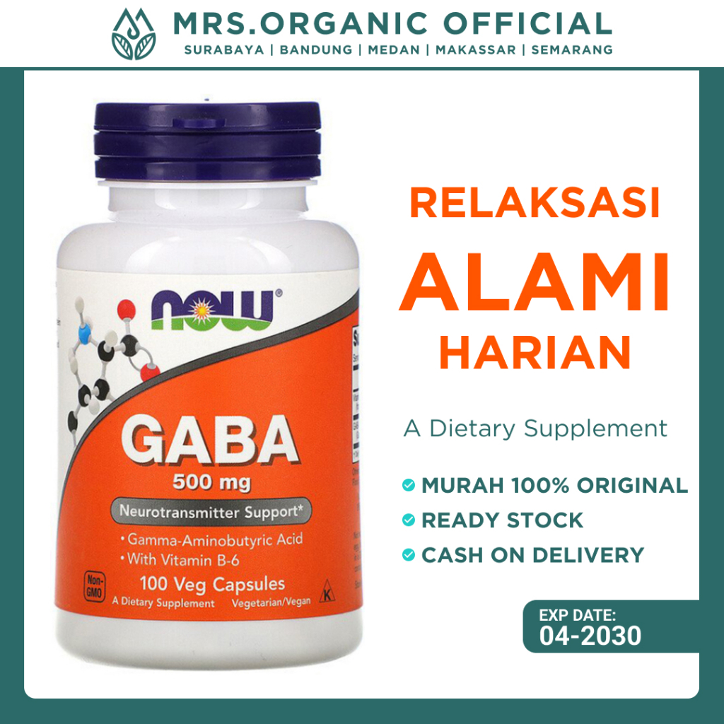 Jual Suplemen Vitamin Now Foods GABA 500 mg 100 Vcaps - Stress Kecemasan Tidur Nyenyak Otak ...