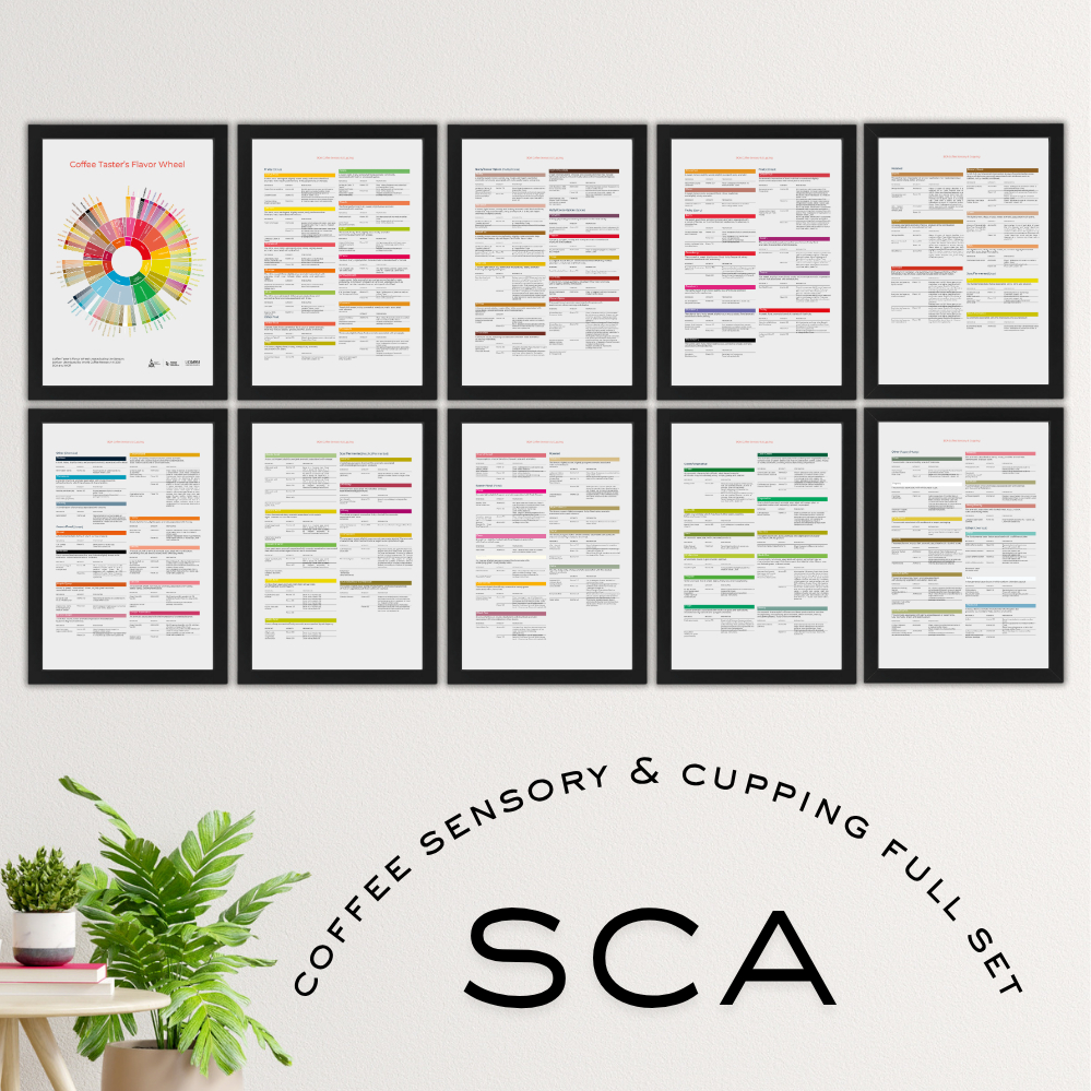Jual Poster Coffee Sensory & Cupping SCA Frame A2 Full Set 10 Poster ...