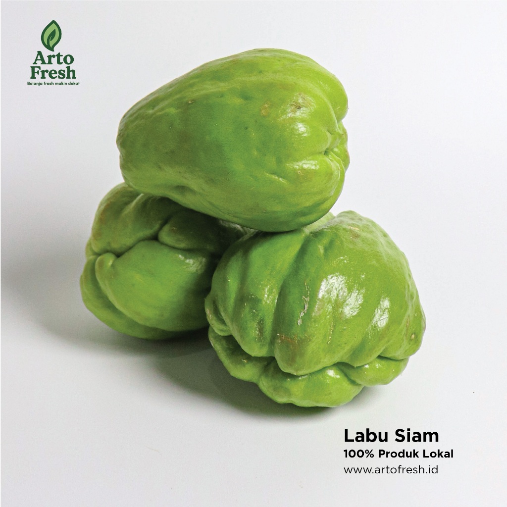 Jual Labu Siam, Artofresh | Shopee Indonesia