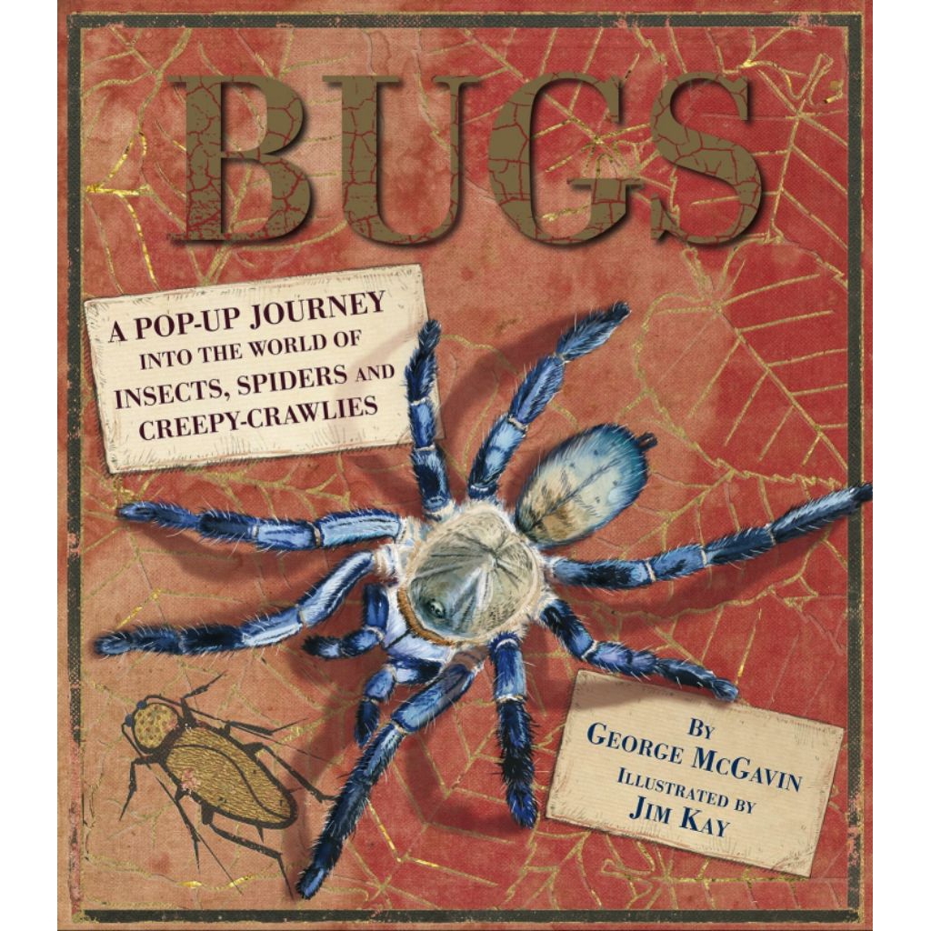 Jual New Original - Bugs: A Stunning Pop-up Look at Insects, Spiders ...