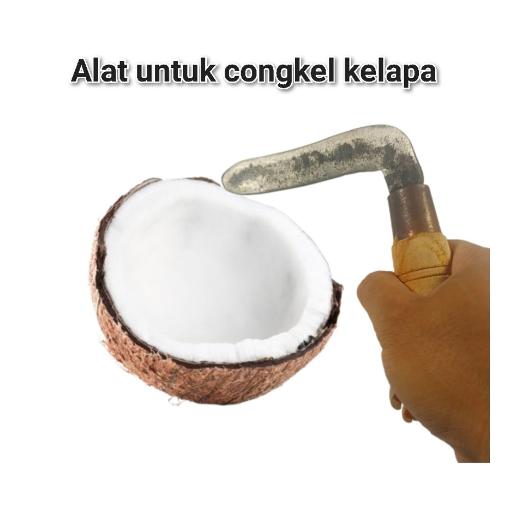 Jual alat untuk congkel kelapa terbuat dari bahan baja sehingga tidah ...