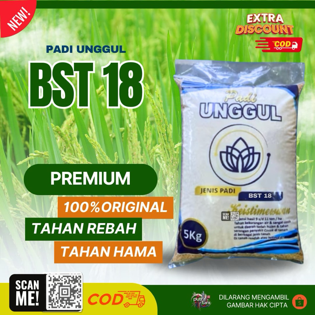 Jual PADI BST 18 umur padi 70-75 HST | Shopee Indonesia