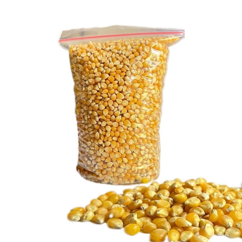 Jual Jagung Popcorn Organik Non GMO Repack 1Kg | Shopee Indonesia