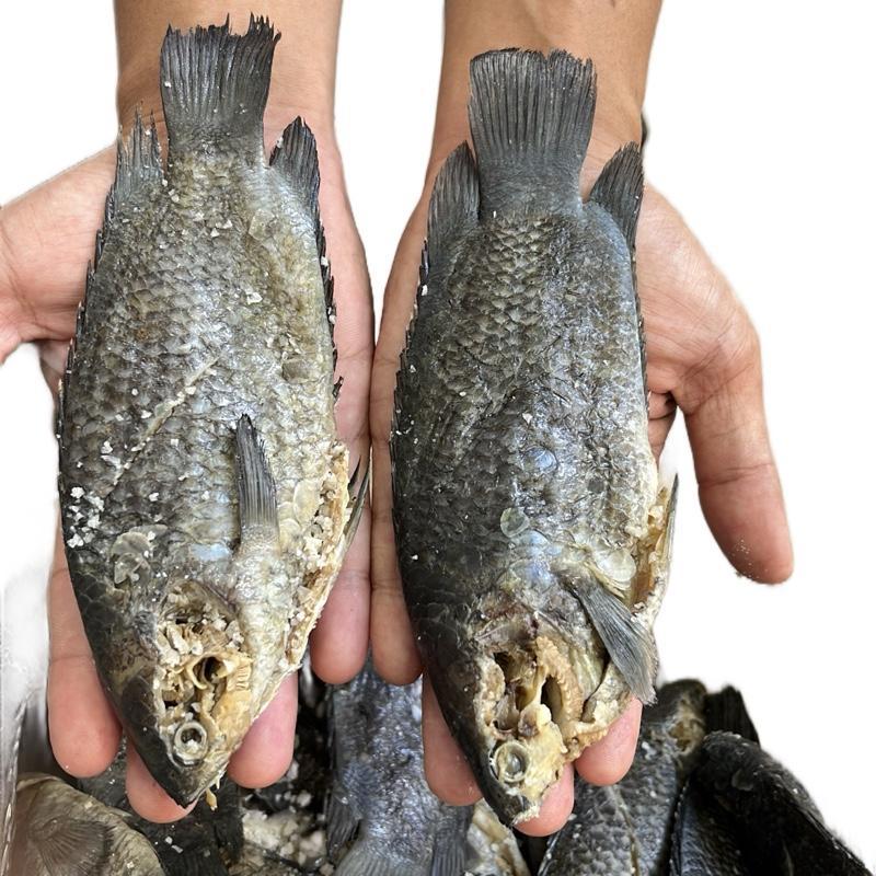 Jual Wadi Papuyu Khas Kalimantan – Ikan Fermentasi Khas Banjar Kaya ...