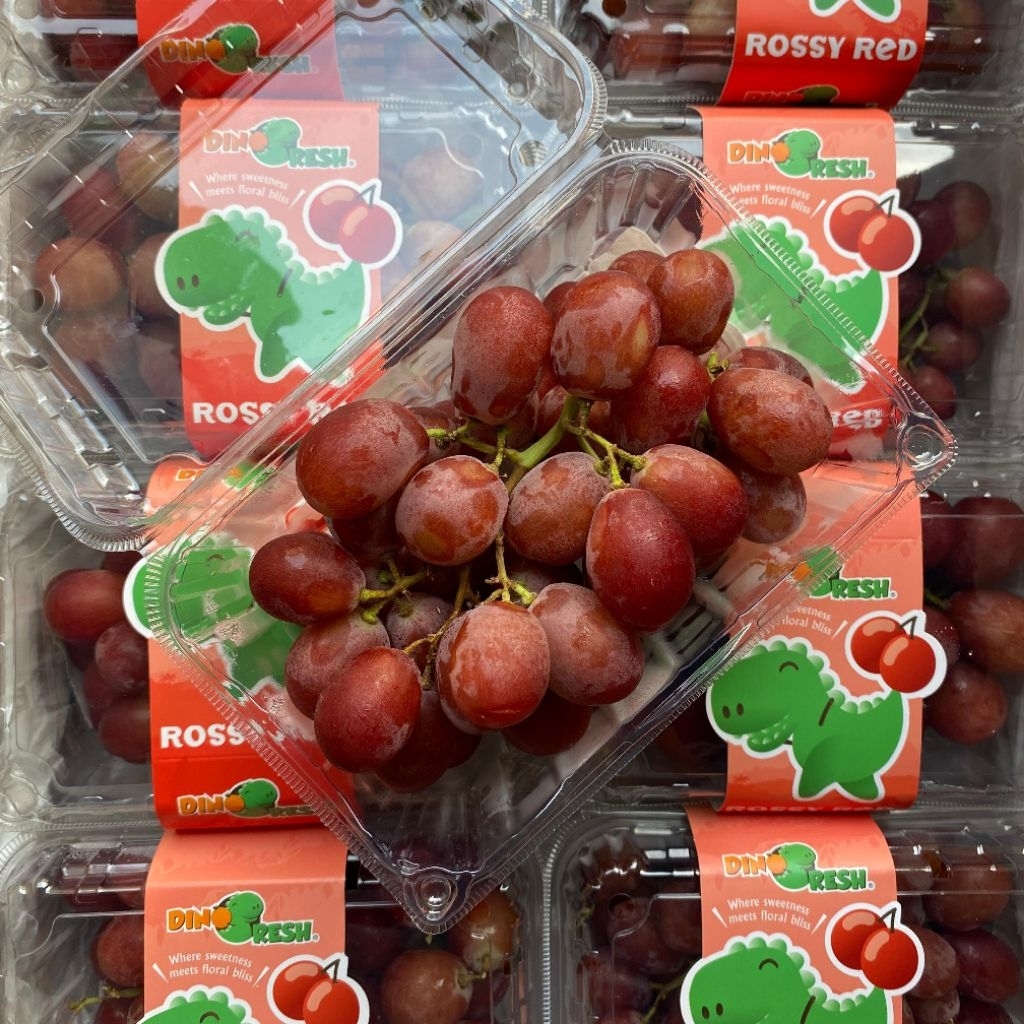 Jual Buah Anggur Red long Crimson fresh 500gr | Shopee Indonesia