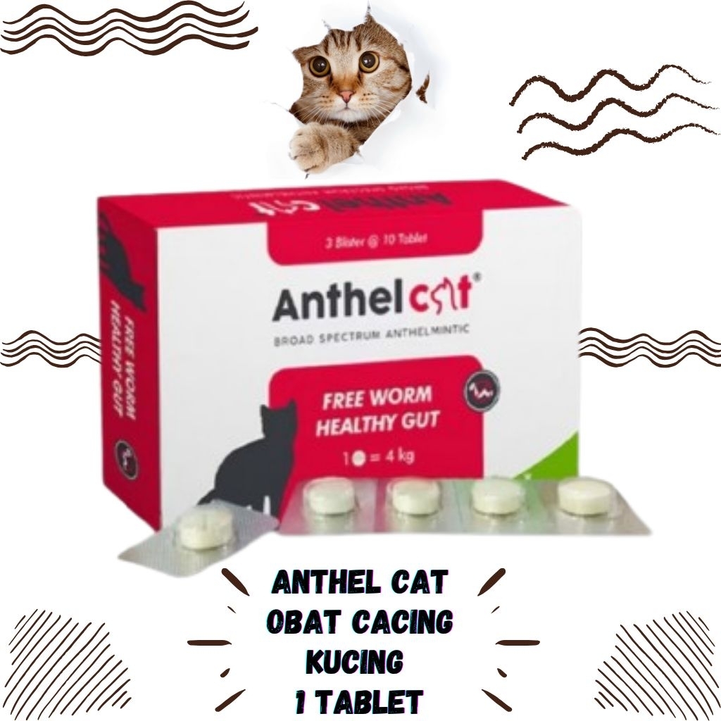 Jual Anthel Cat Obat Cacing Kucing 1 Tablet - Obat Cacing Kucing Kalbe ...