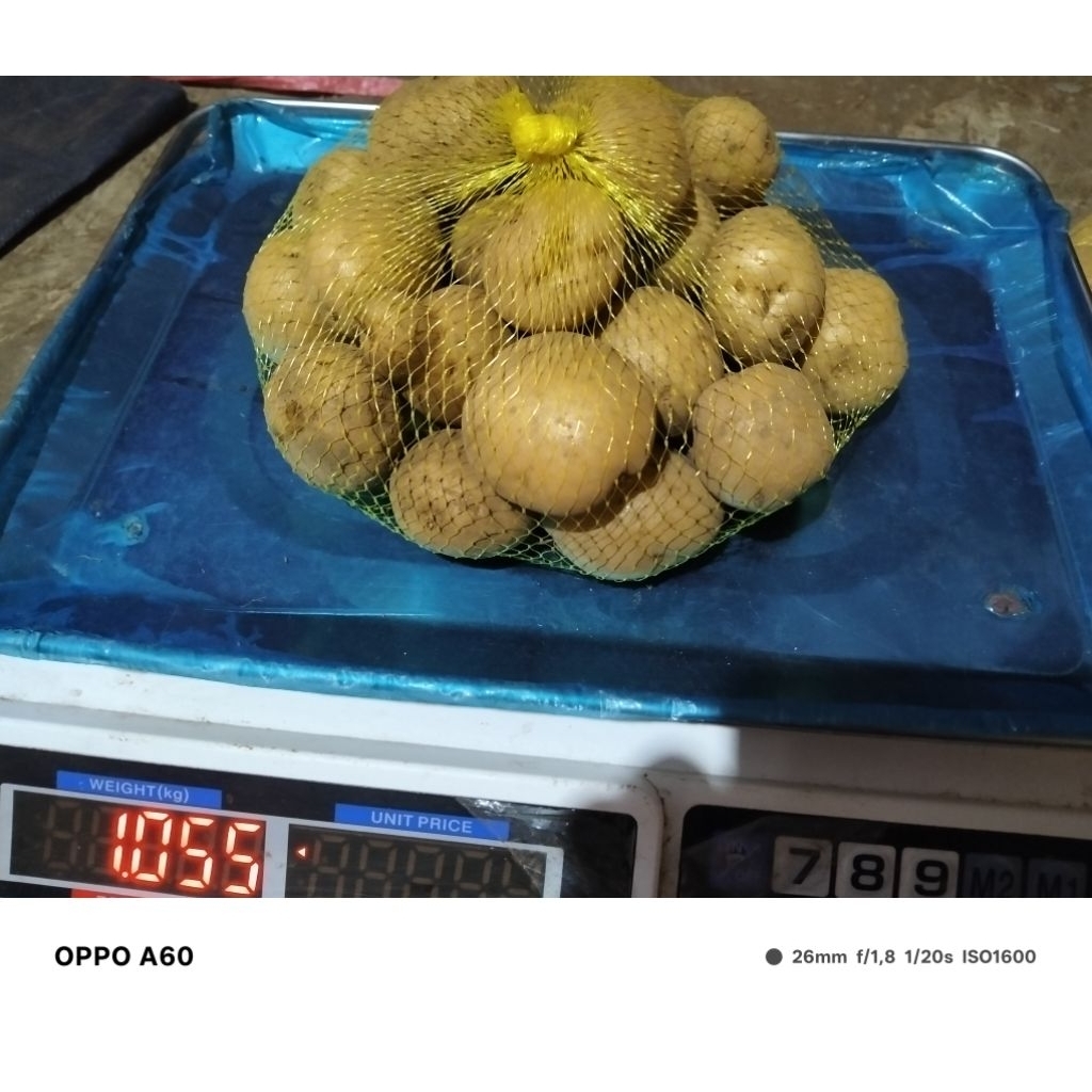 Jual Kentang DN Dieng - Kentang Fresh Dieng 1kg Siap Masak Packing Aman ...