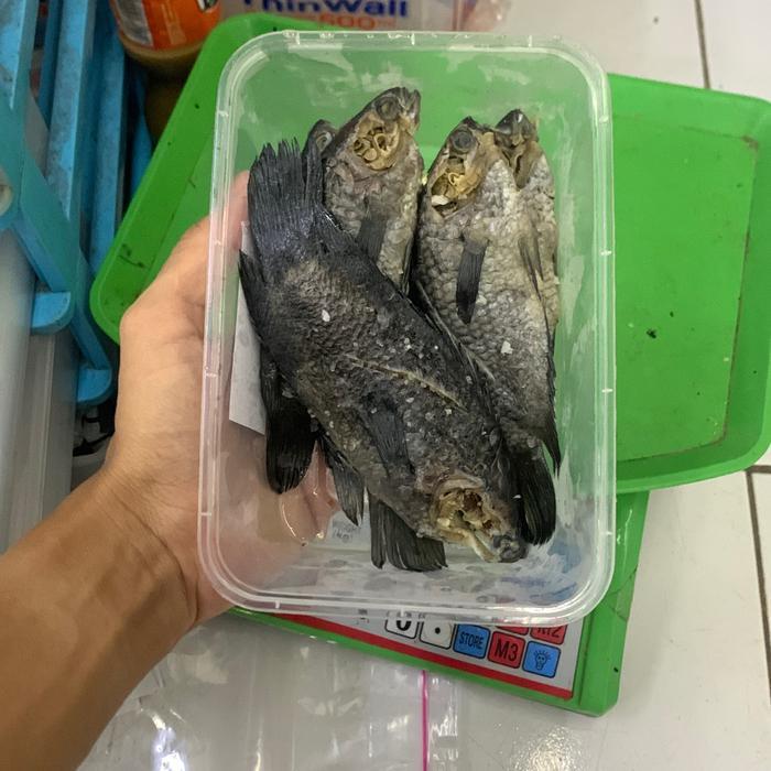 Jual Wadi Iwak Papuyu Banjar – Ikan Asin Fermentasi Premium | Shopee ...