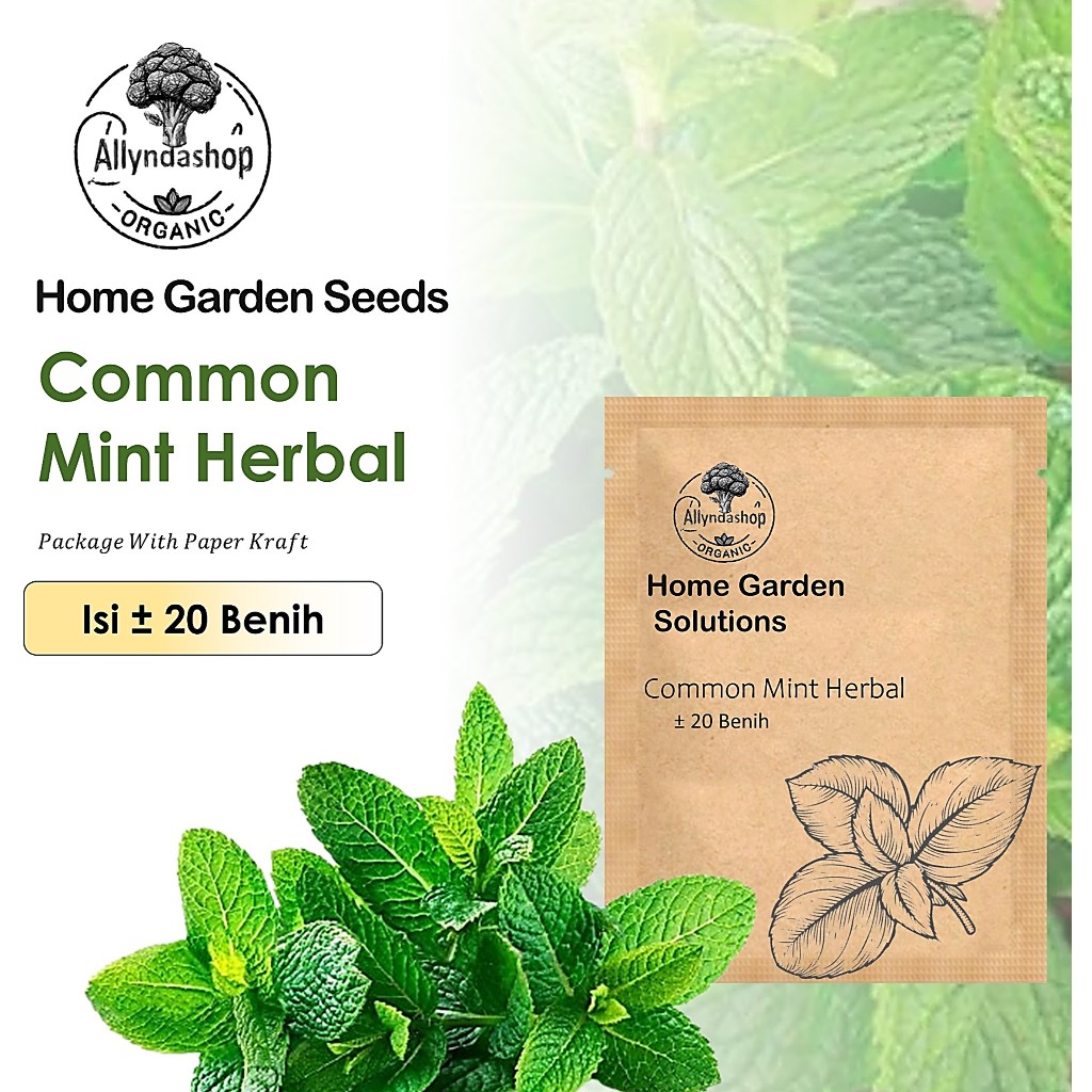 Jual 20 Biji - Bibit Benih Daun Common Mint Tanaman Herb Unggul ...