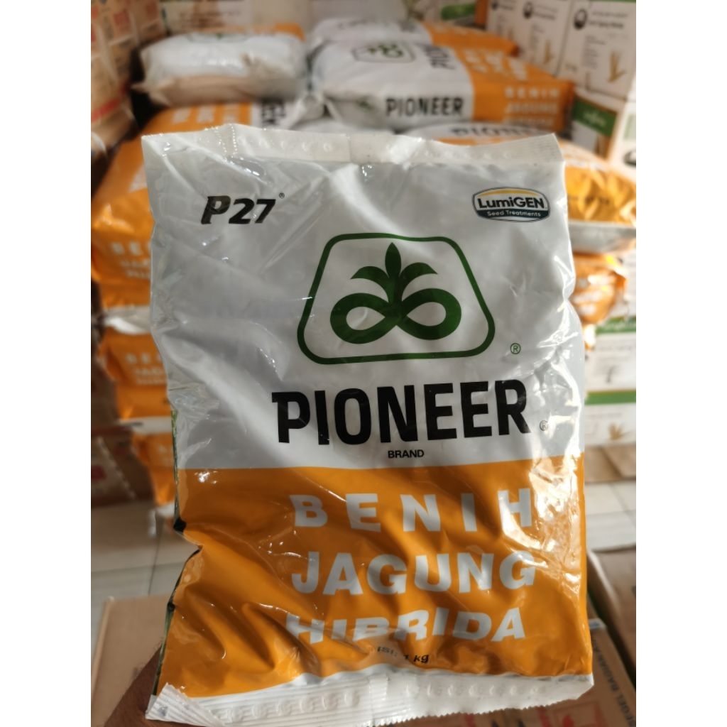 Jual Benih Jagung Hibrida Pioneer P27 LUMIGEN 1 Kg (Garansi 100% ...