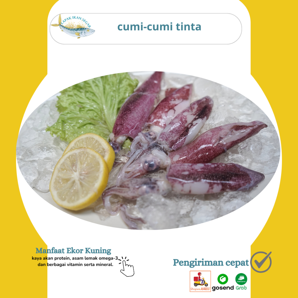 Jual Cumi segar / cumi basah seafood Segar ukuran 500-1kg | Shopee ...