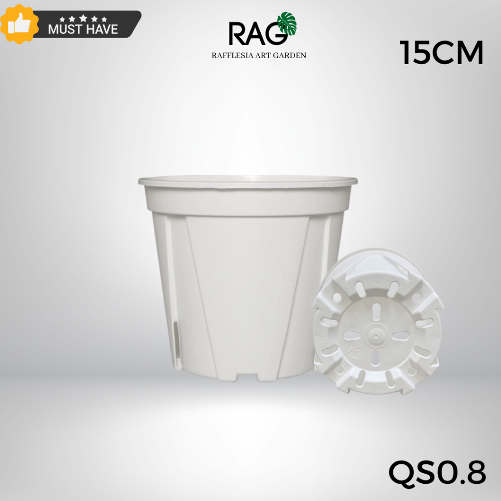 Jual POT BUNGA TANAMAN HIAS MODERN PUTIH QS0.8 15CM | Shopee Indonesia