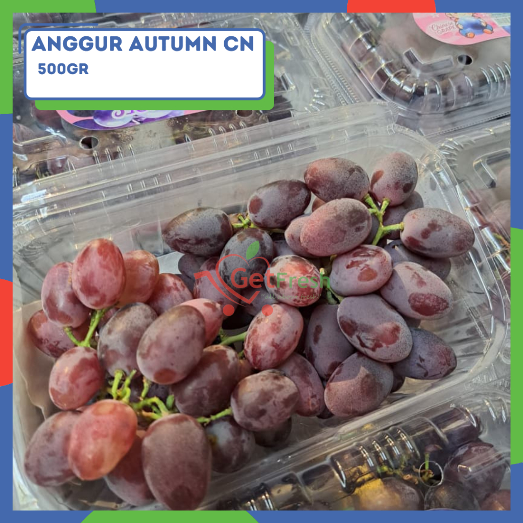 Jual Anggur Autumn China Fresh - 500gr | Shopee Indonesia