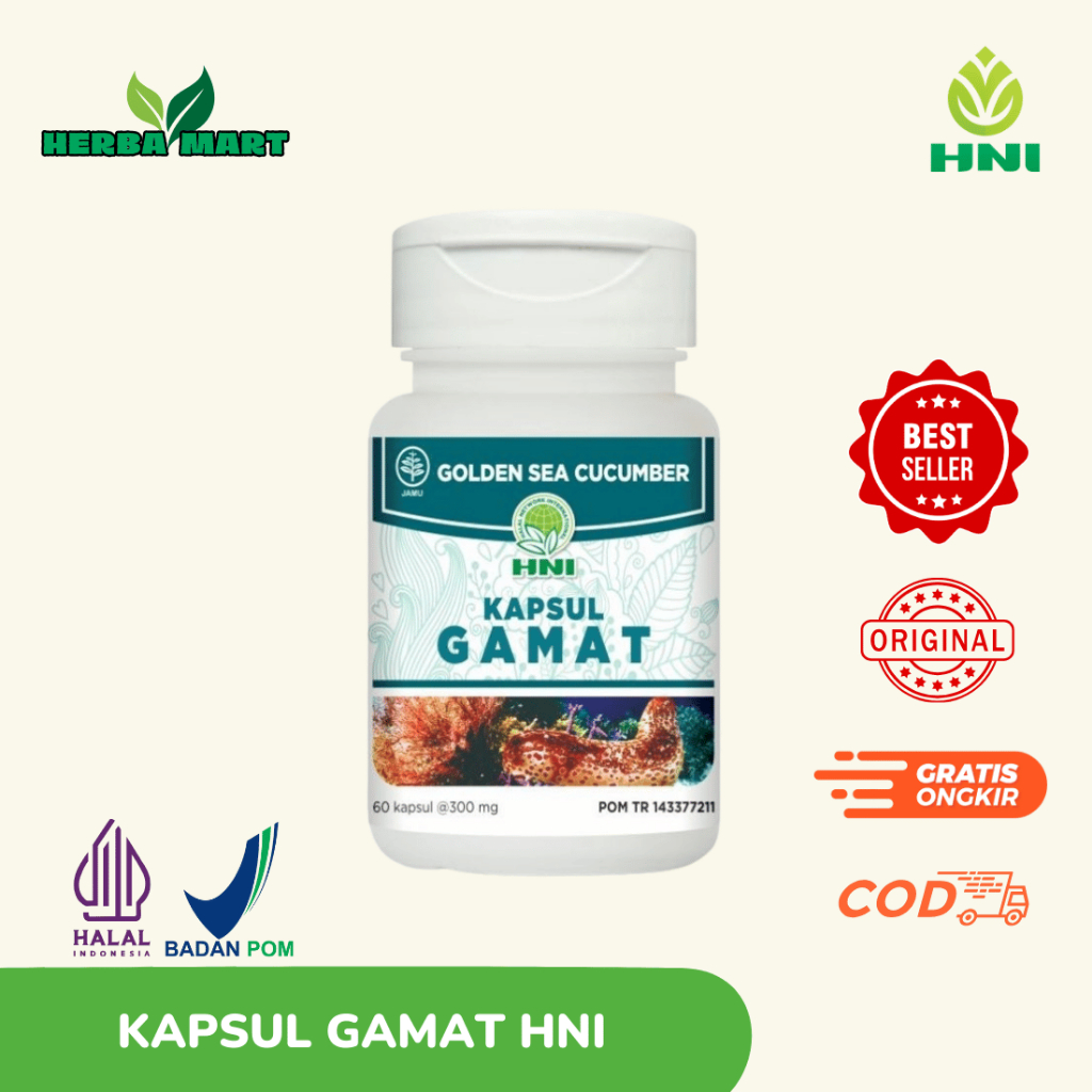Jual GAMAT EMAS HNI / EXTRAC TERIPANG EMAS / 60 kapsul | Shopee Indonesia