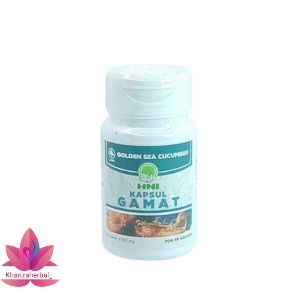 Jual Gamat HNI 60 Kapsul Original | Gamat Ekstra Tripang Emas Meredakan ...
