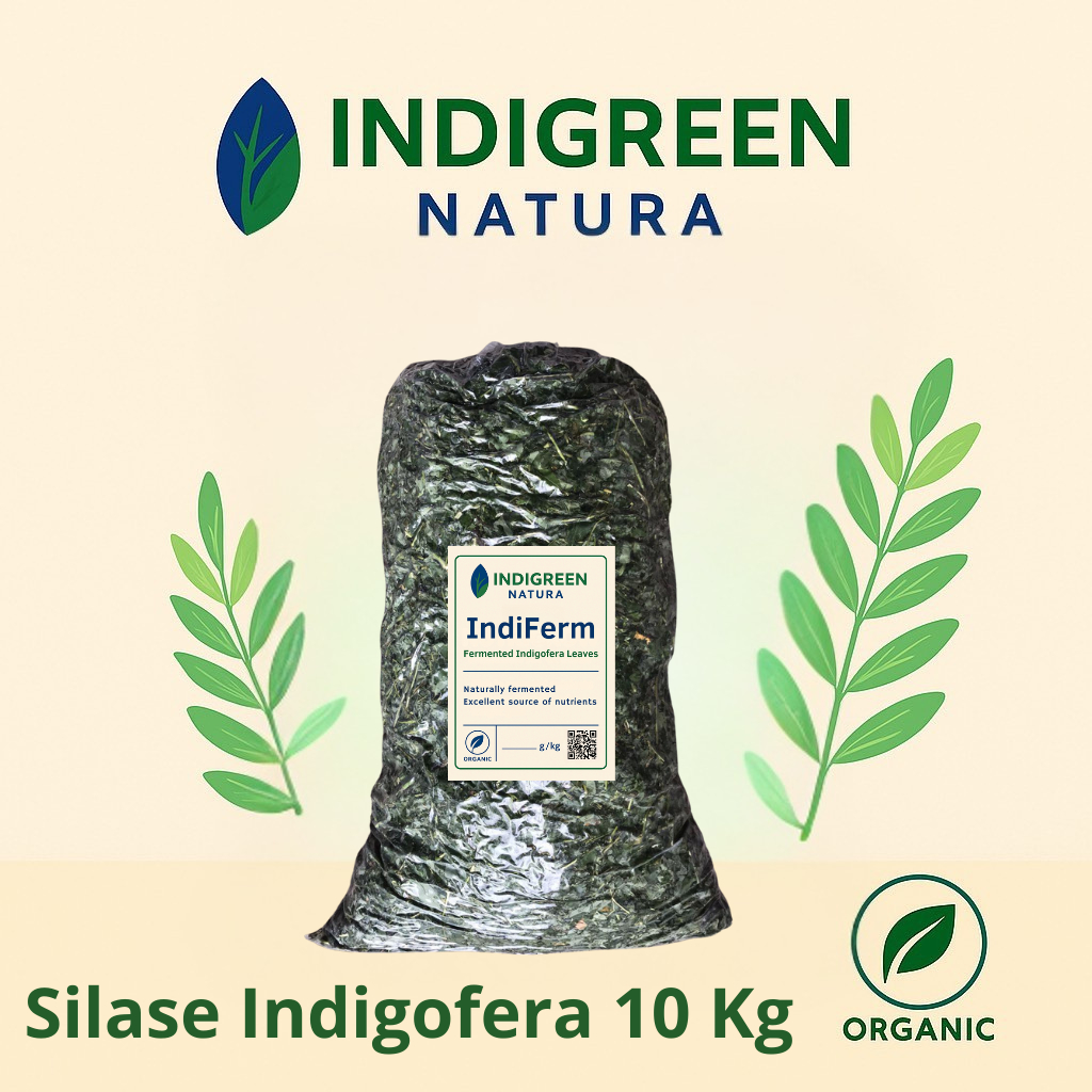 Jual Silase Indigofera Pakan Fermentasi Silase Pakan Ternak Silase ...