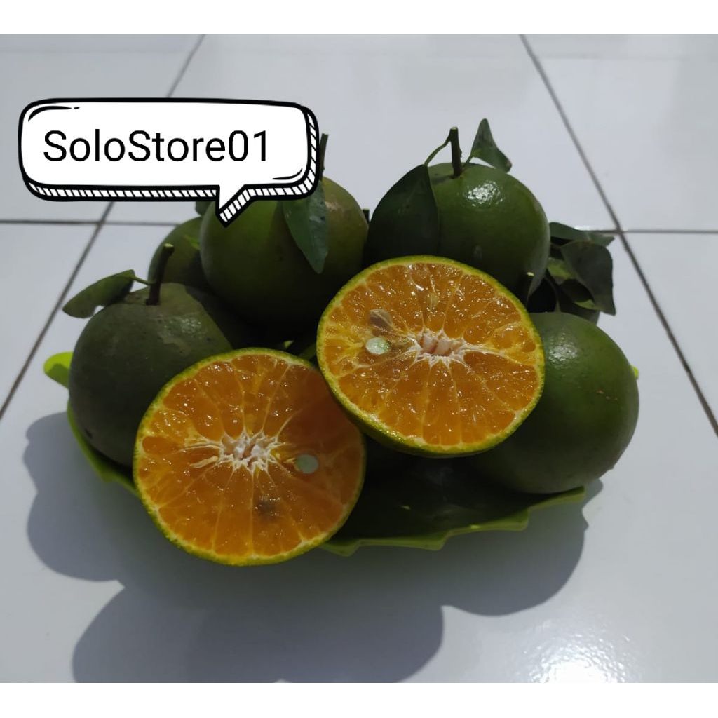 Jual Jeruk Khas Semboro Kemasan 1kg Fresh Petik Pohon | Shopee Indonesia