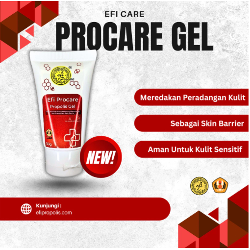 Jual EFI PROCARE GEL Propolis by Prof Felix, Ph.D Anti Inflamasi ...